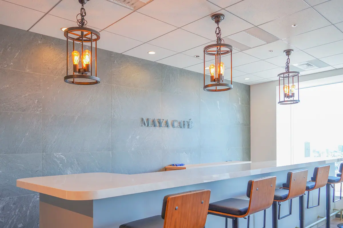 株式会社MAYAホールディングスのエンジニア求人・転職・採用｜人材・ICTを両輪に、農業や飲食など幅広い領域で事業展開を行うグループ会社のLP ...